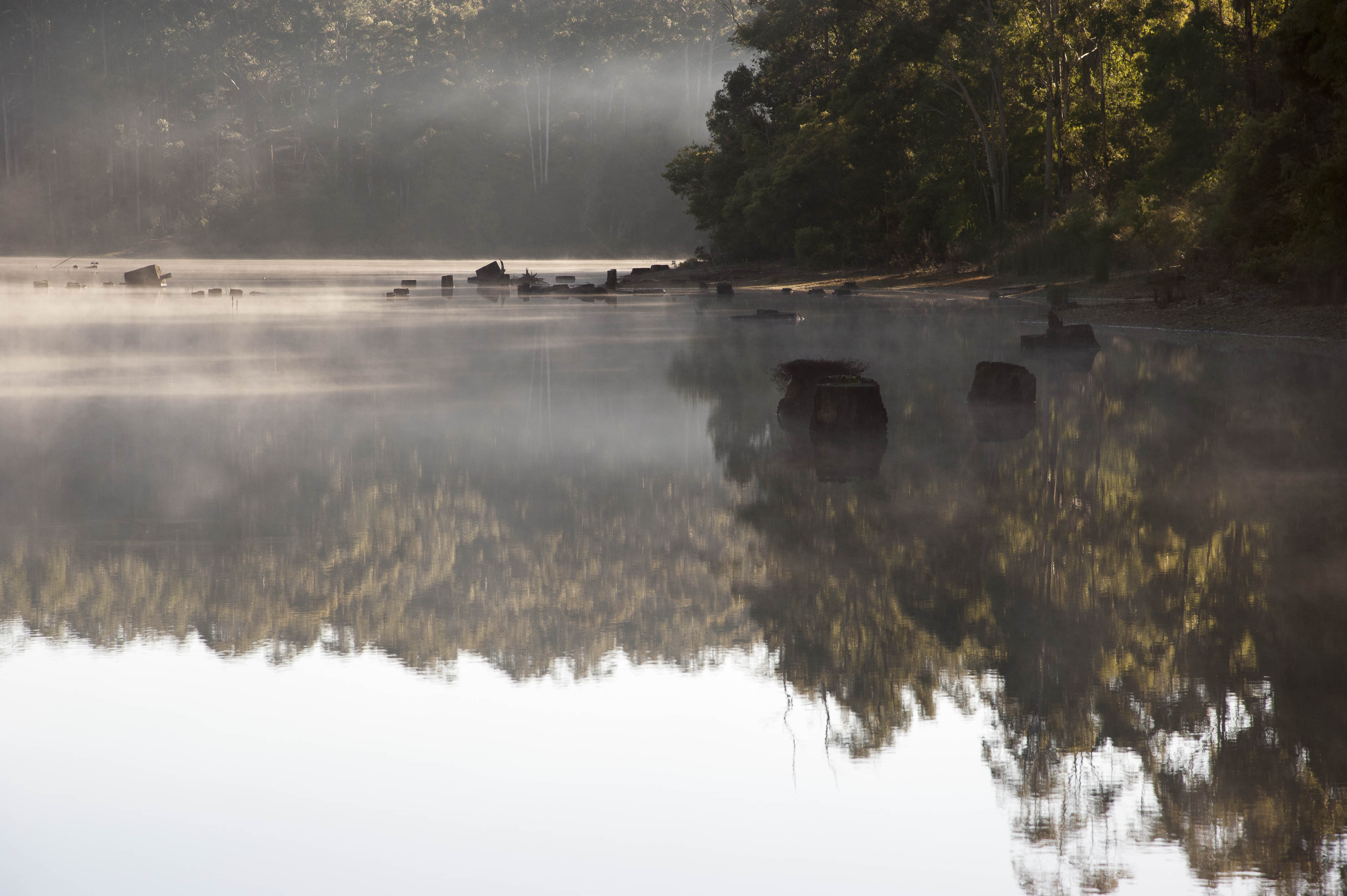 Karri Lake Trail – Euca Lips