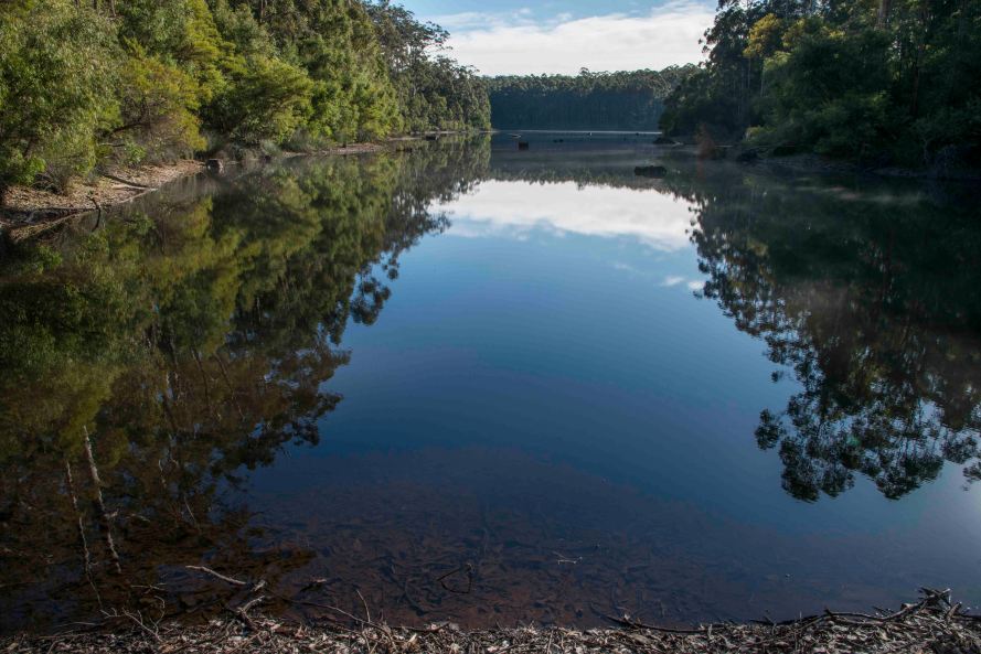 Karri Lake Trail – Euca Lips